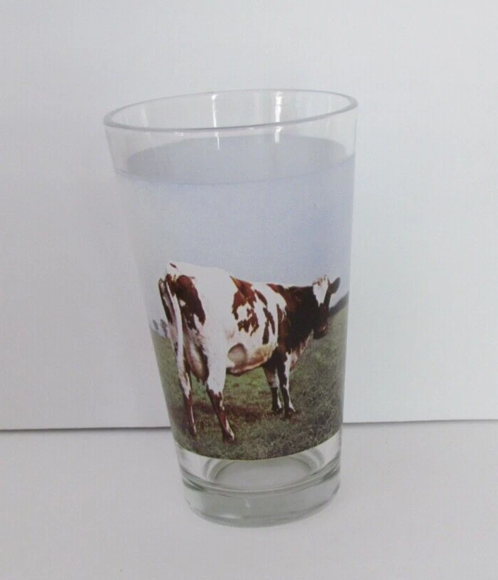 Pink Floyd Album Covers Cow