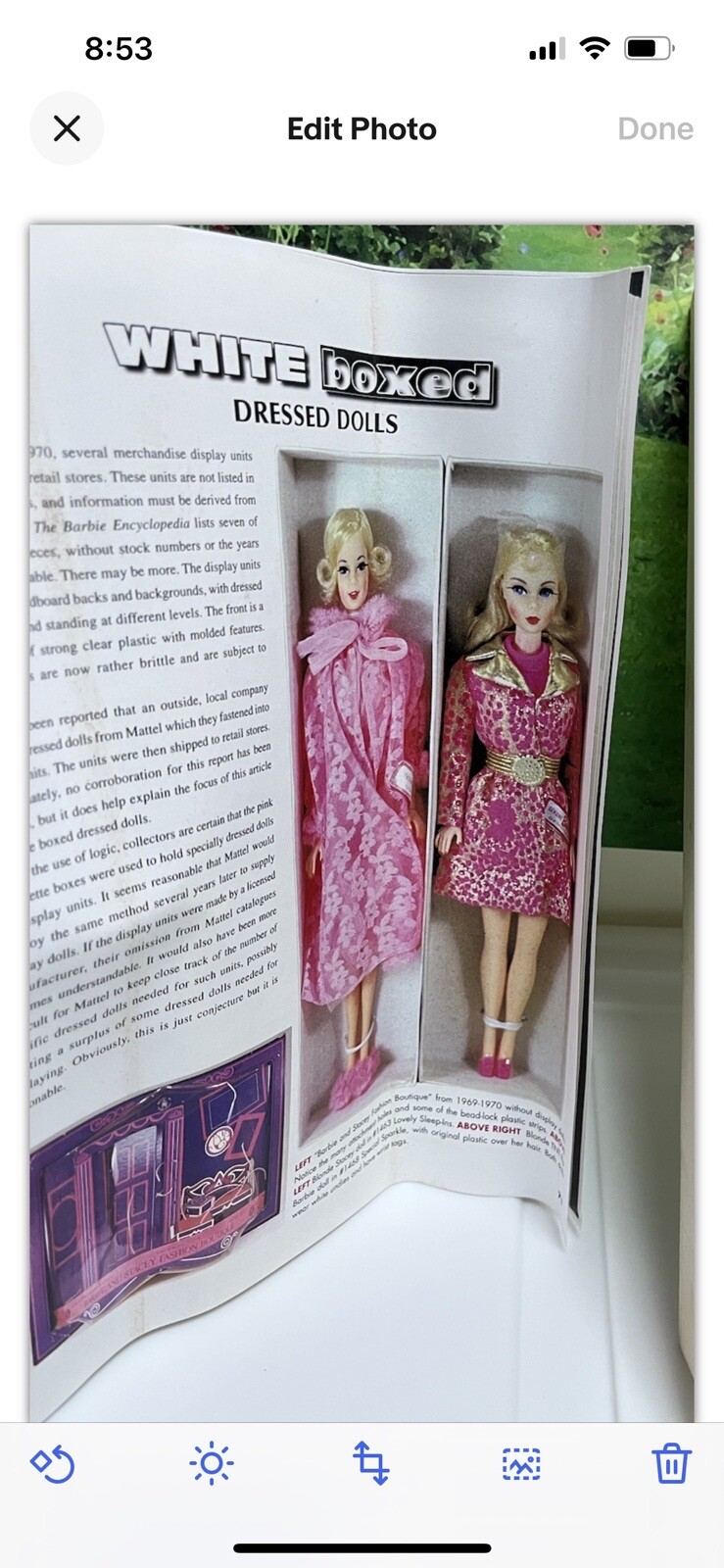 VINTAGE BARBIE STORE DISPLAY DRESSED DOLLS STACEY DUO NRFB MIB MIP ...