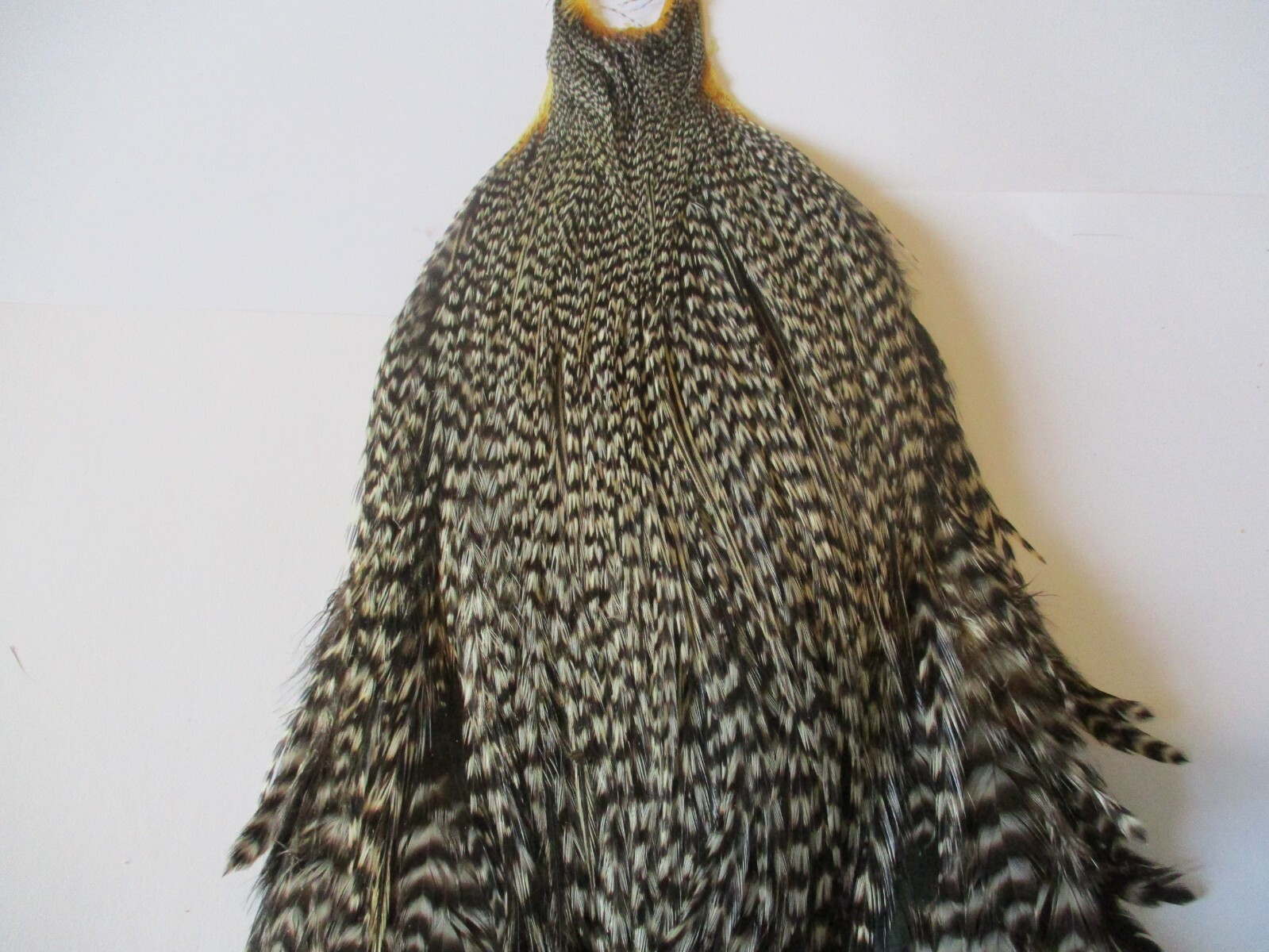 Metz cock cape genetic dark barred grizzle hackle feathers grade 3 | eBay