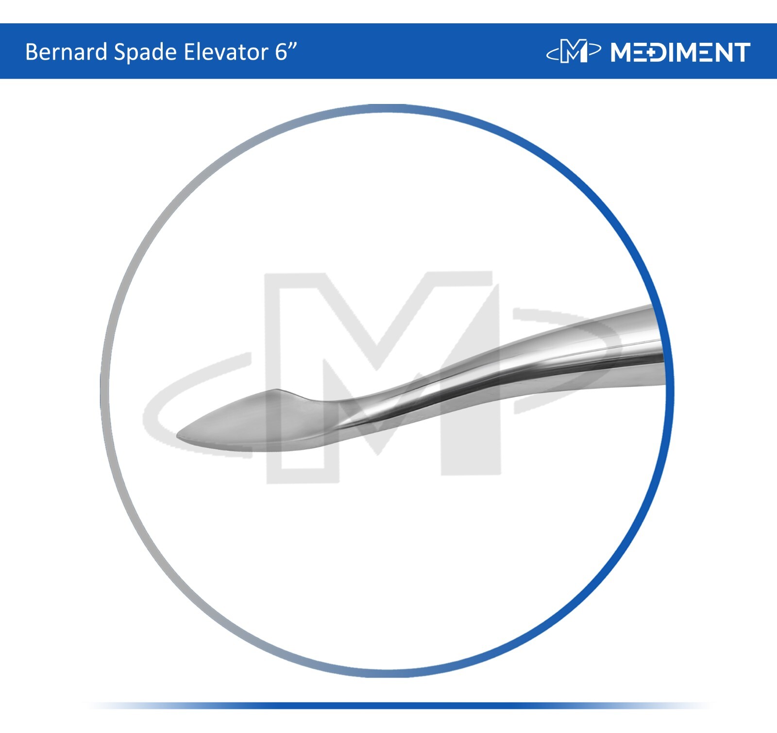 2 X Dental Surgery Elevator Bernard Spade 6'' Length Root Extraction ...