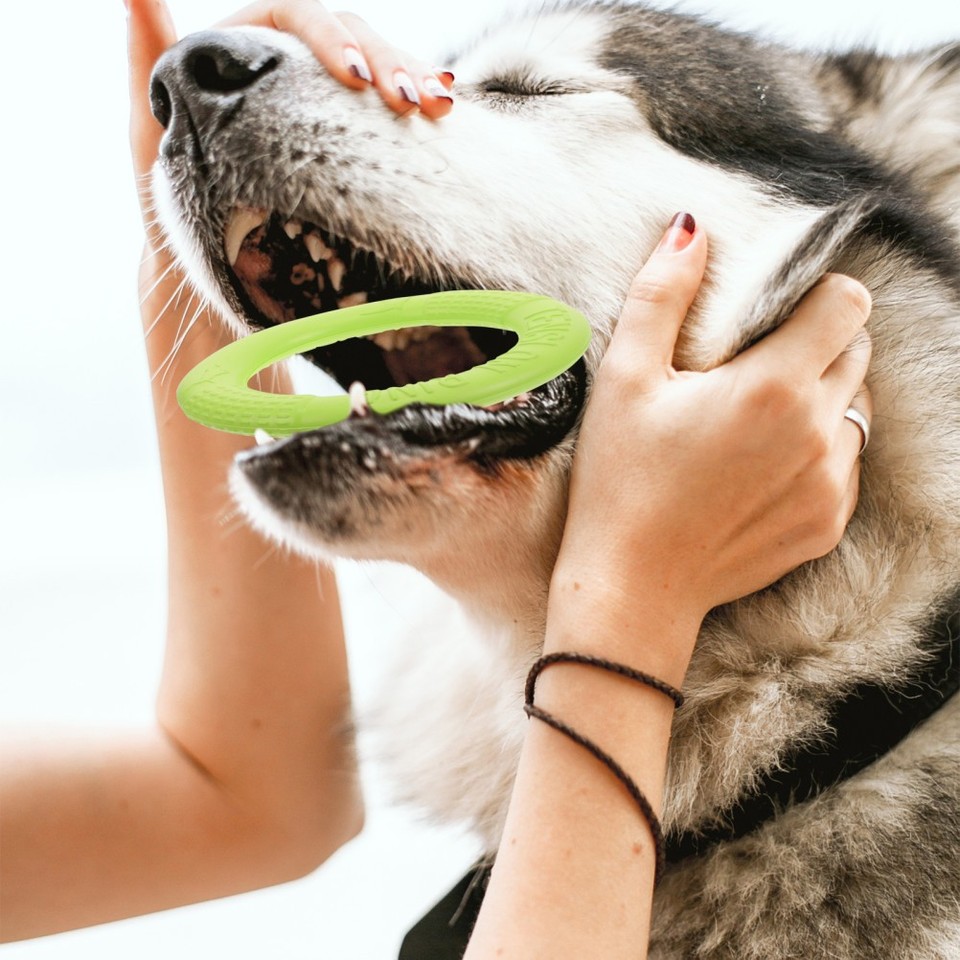 Dog Disc Ring Toy Throwing Ring Training Toy Outdoor Dog Flying Disc ...