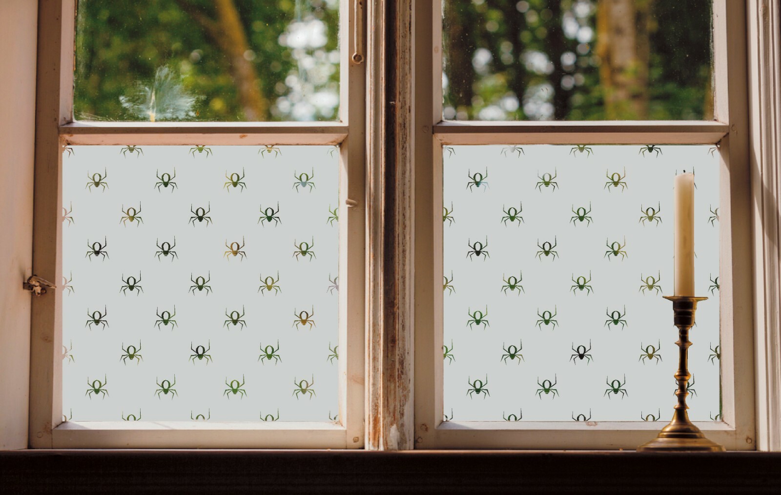 Etched Glass Window Film Frosted style SPIDERS insect privacy etching ...