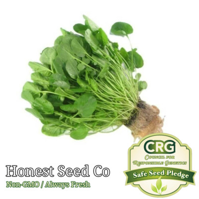 Upland Pepper Cress Seeds | Non-GMO | Fresh Garden Seeds | eBay