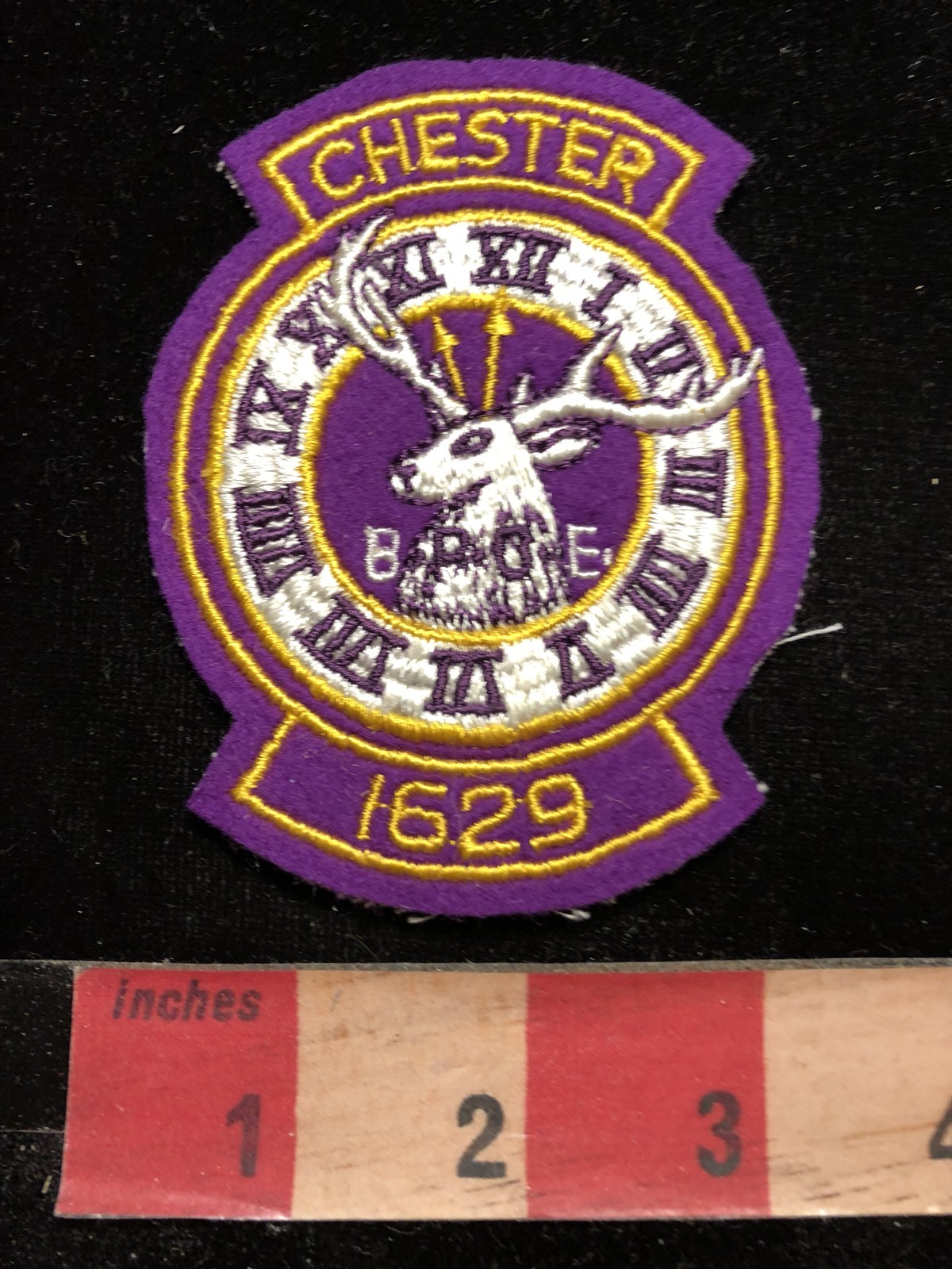 Illinois Chester 1629 BPOE Patch Benevolent And Protective Order Of ...