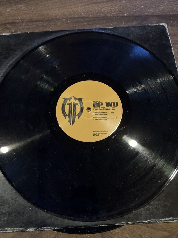 GP Wu Don't Go Against The Grain 1998 2 LP Vinyls W/ Sleeve PROMO | eBay
