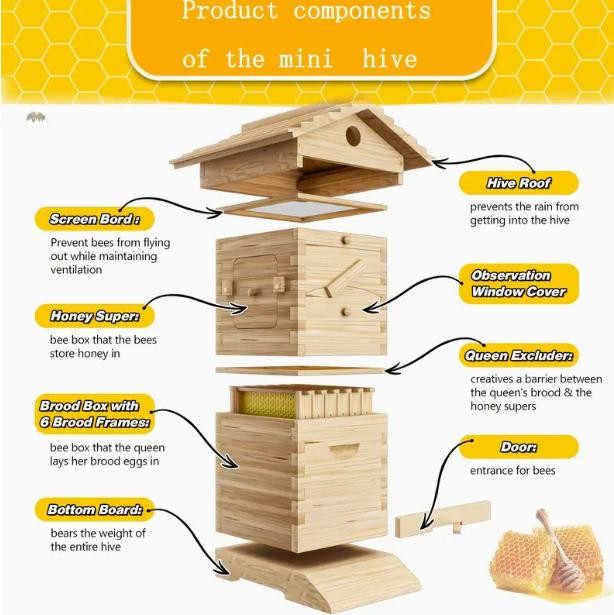 Auto Honey Bee Hives House Boxes MINi Hives With 10x Bee Hive Frames ...