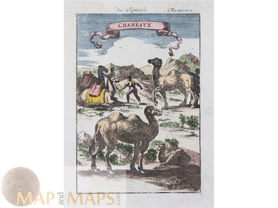 Pre-1900 - Hand Color By Mallet