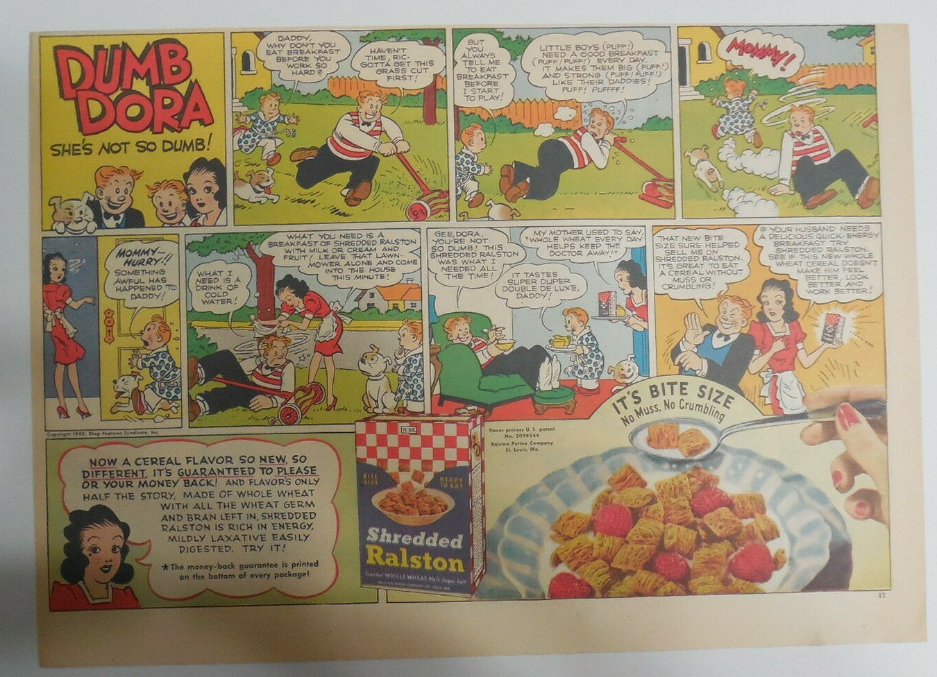Ralston Cereal Ad: Dumb Dora, She's Not So Dumb from 1940's Size: 11 x ... Ralston Cereal Ad: Dumb Dora, She's Not So Dumb from 1940's Size: 11 x ...