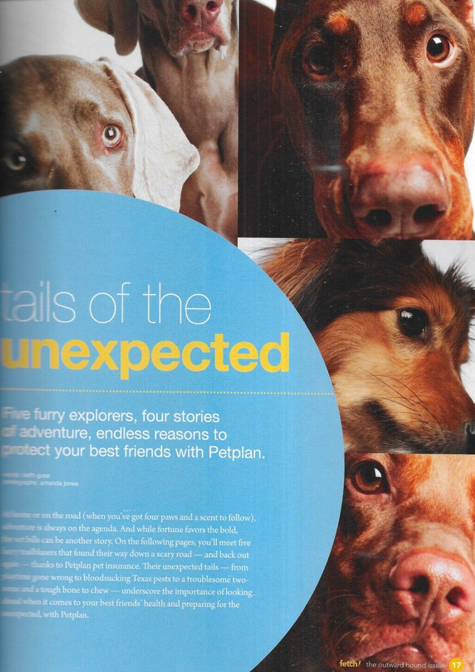 Fetch Magazine Outward Hound Issue Weather Noise and Phobias Outdoors ...