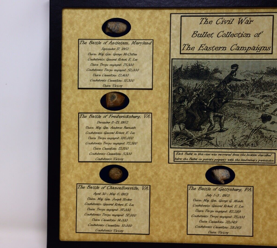 The Civil War Bullet Collection of The Eastern Campaigns with Display ...
