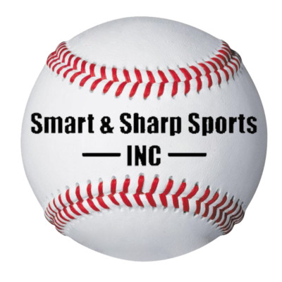 12 (one Dozen) Leather Batting Practice Baseballs Cowhide Brand New ...