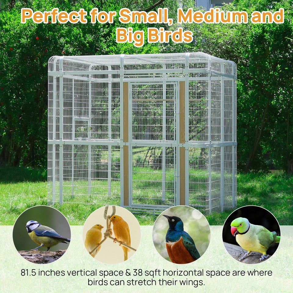 Extra Large Walk-In Bird Cage for Multiple Birds Finch Parrot Aviary ...