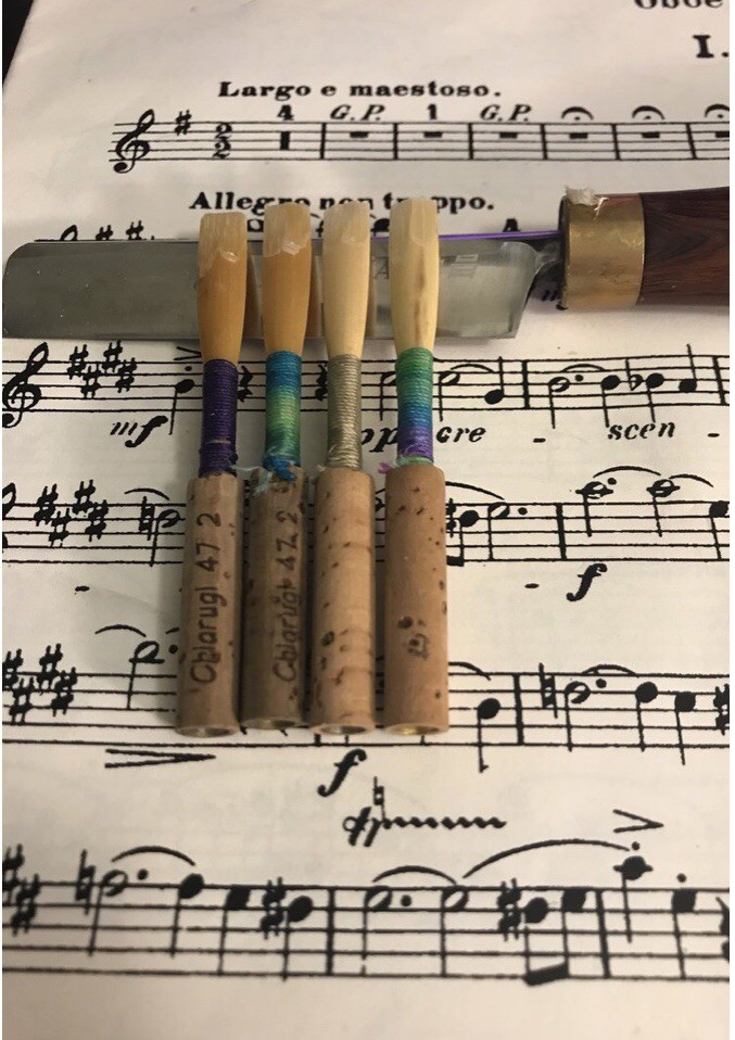 Oboe Reed Blank | eBay