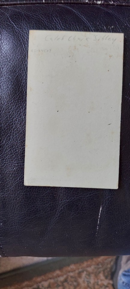 Civil War CDV--USA BB Gen Caleb C. Sibley and family members cdv | eBay