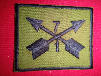 US Army 1st Battalion 7th Special Forces Group Subdued Patch | eBay