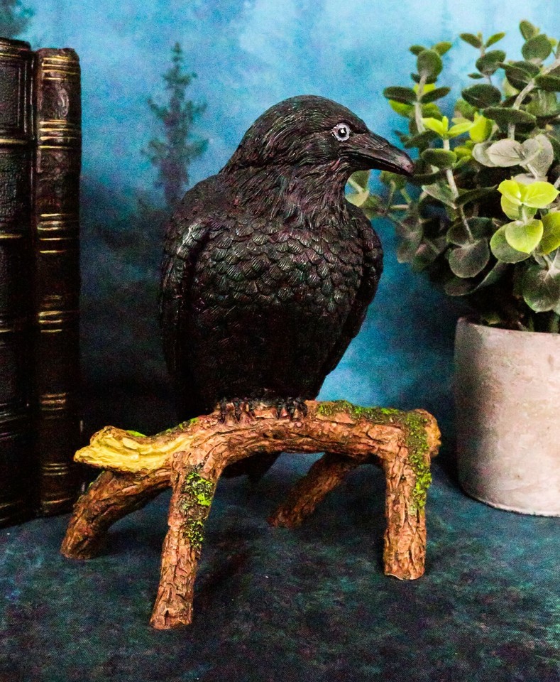 Crow Dark Raven Crow Gazing The Horizons Statue 5.75" Height Figurine ...
