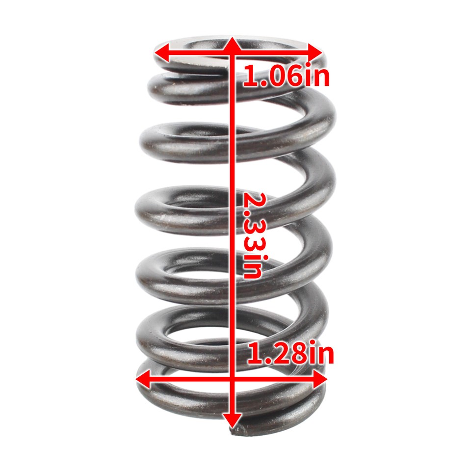 LS VALVE SPRINGS Fits GM LS1 LS2 LS3 LS6 4.8 5.3 6.0 6.2L - .600" LIFT ...