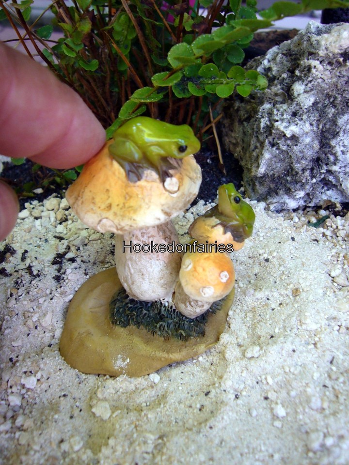 Mini Frog on Mushrooms TO 4441 Miniature Fairy Gnome Hobbit Garden | eBay