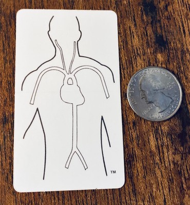 Discreet Carry Concepts STICKER - Tactical Gear Clips EDC - Guns Ammo ...