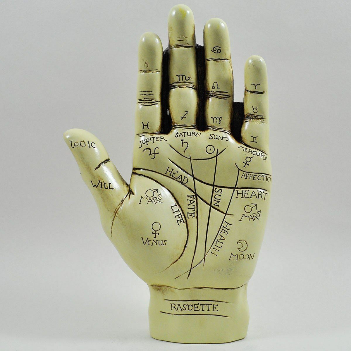 Fortune Telling Hand