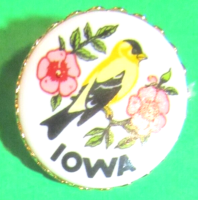 Iowa State Bird