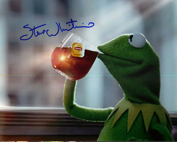 Kermit The Frog None Of My Business
