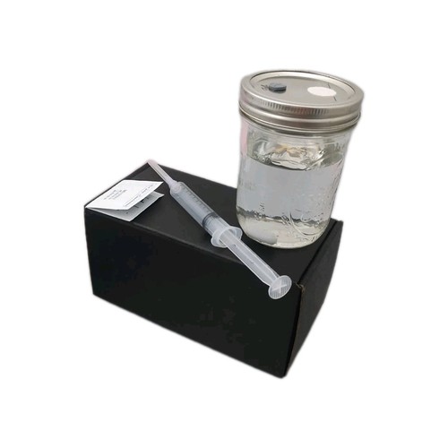 Quick Liquid Culture Kit. Easy Spore Germinating And Cloning MADE IN ...