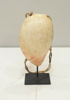 Pacific Islands & Oceania - Bailer Shell - Vatican