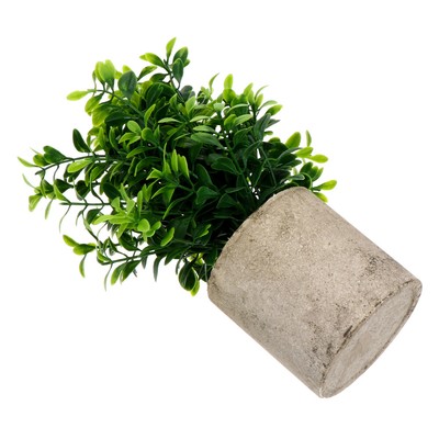 Jade Hatcher Wedding