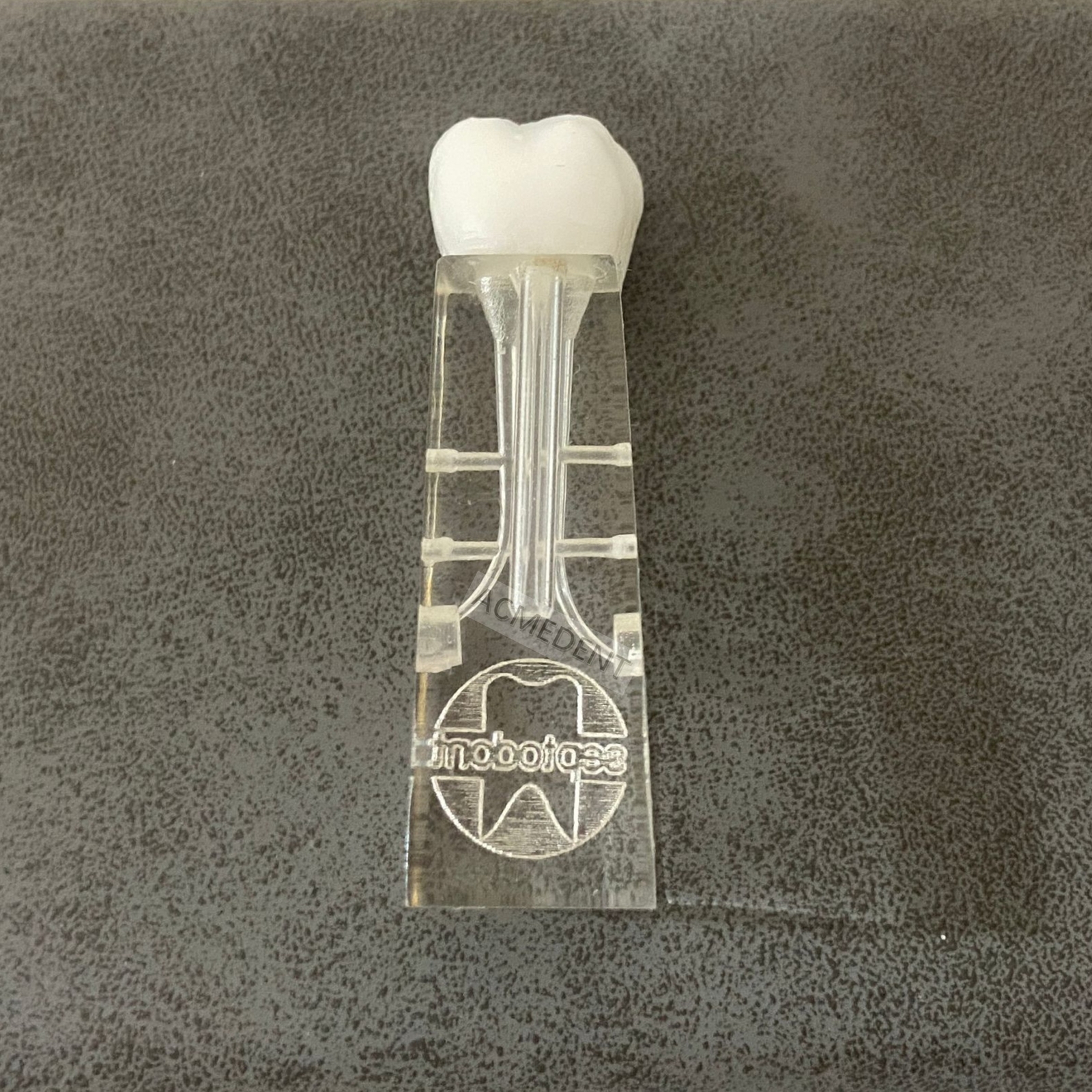 Dental Endo Files Molar Practise Blocks Combined Root Canal RCT Block 7 ...