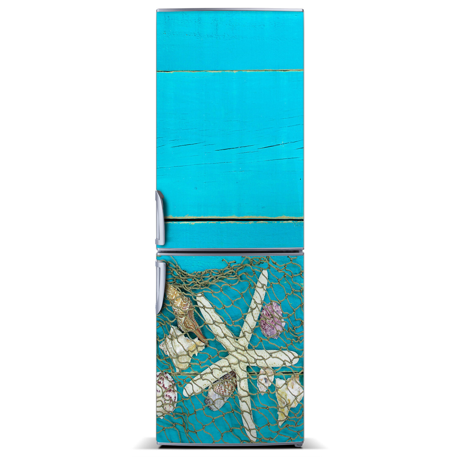 Magnet Sticker Refrigerator removable Peel & Stick Decal Shells and ...