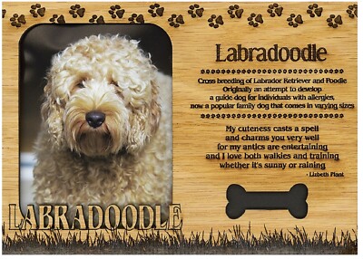 Labradoodle Engraved Wood Picture Frame Magnet | eBay