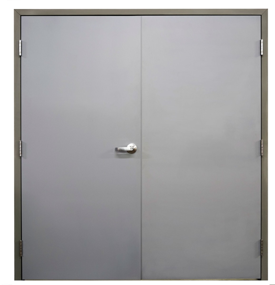 Commercial Metal Double Doors