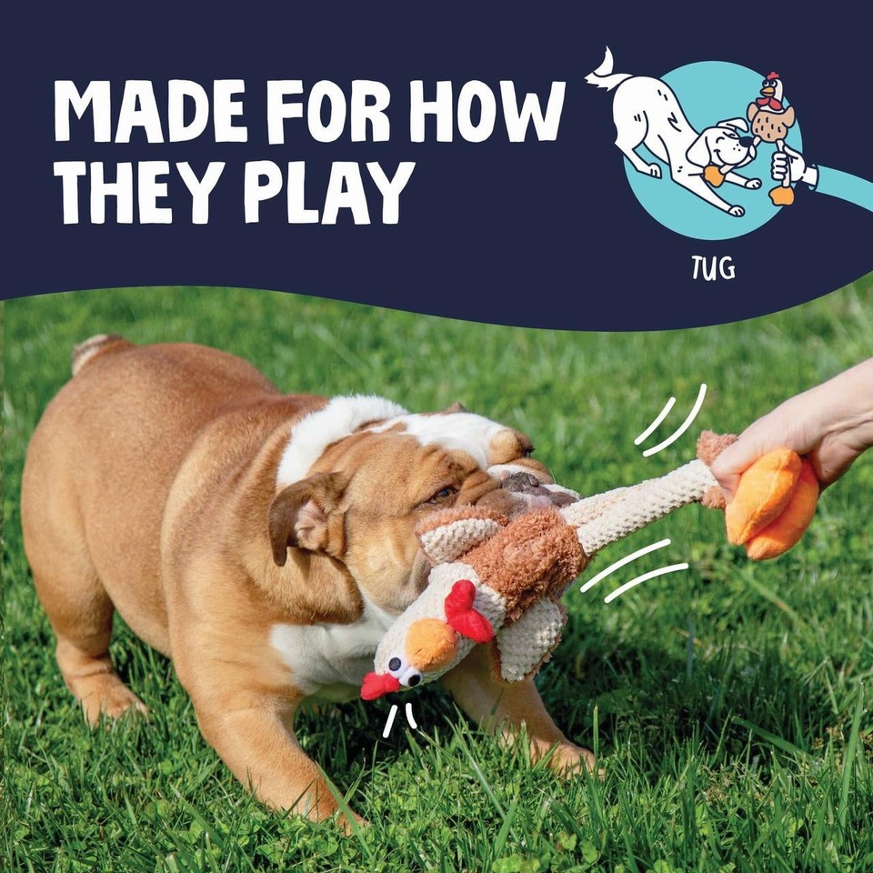 TrustyPup Plush Squeaky Chicken Dog Toy Large White Chew Guard Durable ...
