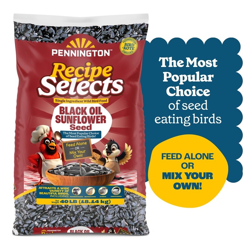 Black Oil Sunflower Seed Wild Bird Food 40 Pound Bag Feeding Wild Birds ...
