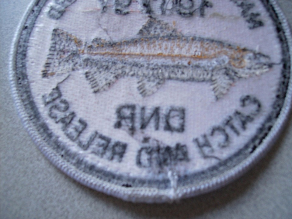 1997 MICHIGAN DNR MASTER ANGLER AWARD CATCH & RELEASE FISHING PATCH ...