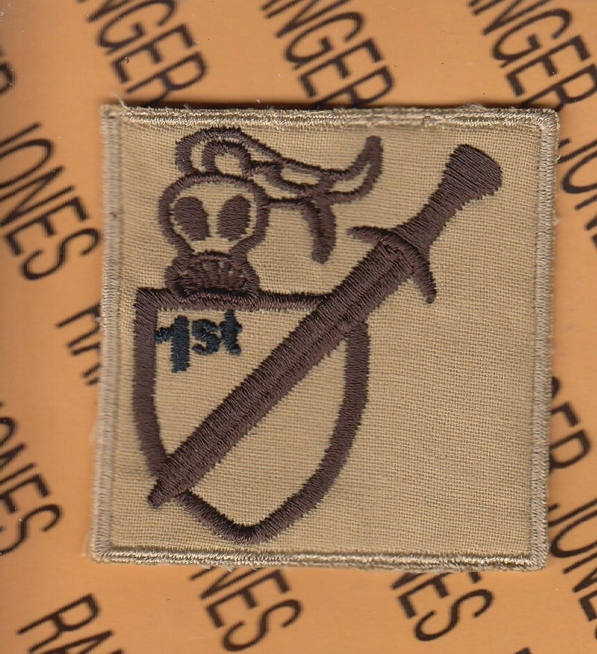 1st Plt 716th MP Military Police 101st Airborne HCI 2.25" patch C | eBay