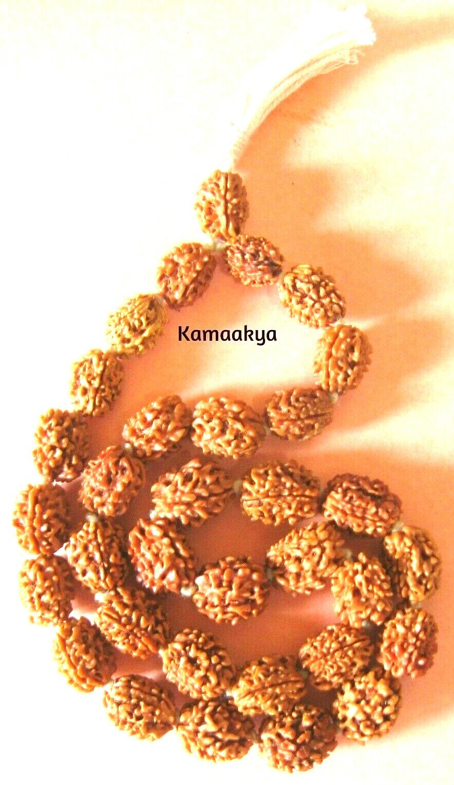 3 Mukhi Rudraksha Mala Surya Agni Siddha Mala 54+1 Collector Japa Beads ...