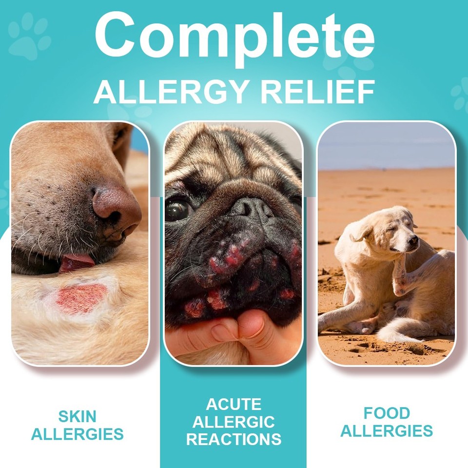 Dog Allergy Relief-Itching Skin Relief- Dog Probiotics for Itchy Skin ...