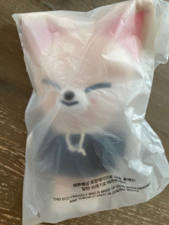 Stray Kids SKZOO Official Original Size Stuffed Plush Toy Complete 8 ...