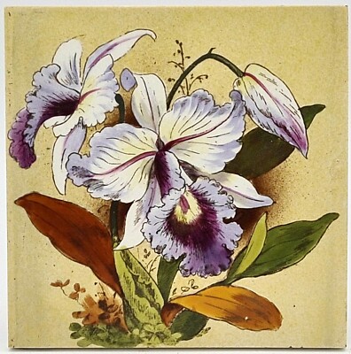 Tiles - Transfer Print