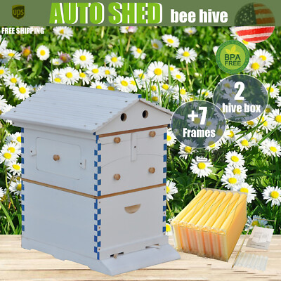 Big Auto Seep Beehive Honey Bee Hive Box Beekeeping Boxes + 7xPlastic ...