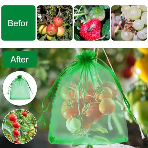 50PCS Fruit Protection Bag6X8 /15CMX20CM Fruit Netting Bags Fruit Cover ...
