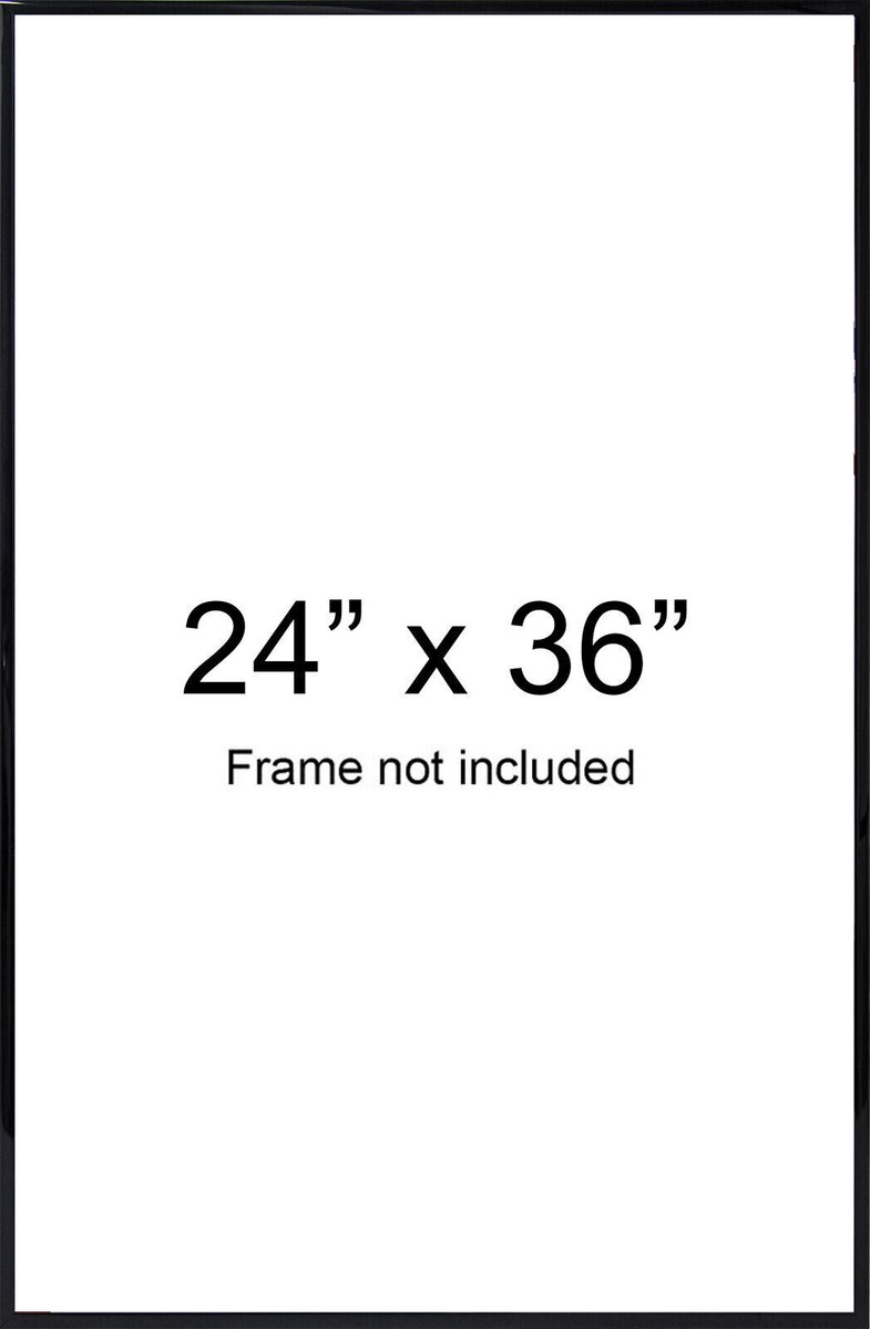 Meatballs Bill Murray Movie Poster