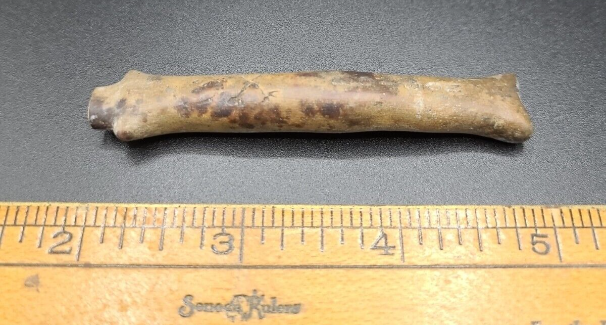 Antique Civil War Ceramic Figural Poison Bottle - Bone - Skull & Bones ...