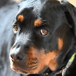 Texas Collect Sell Repeat | eBay Stores