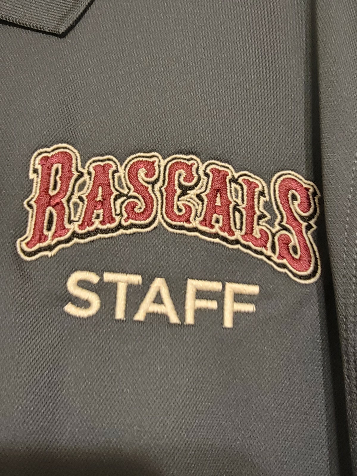 Defunct River City Rascals Minor League Baseball Team XL Gray Shirt Lot ...