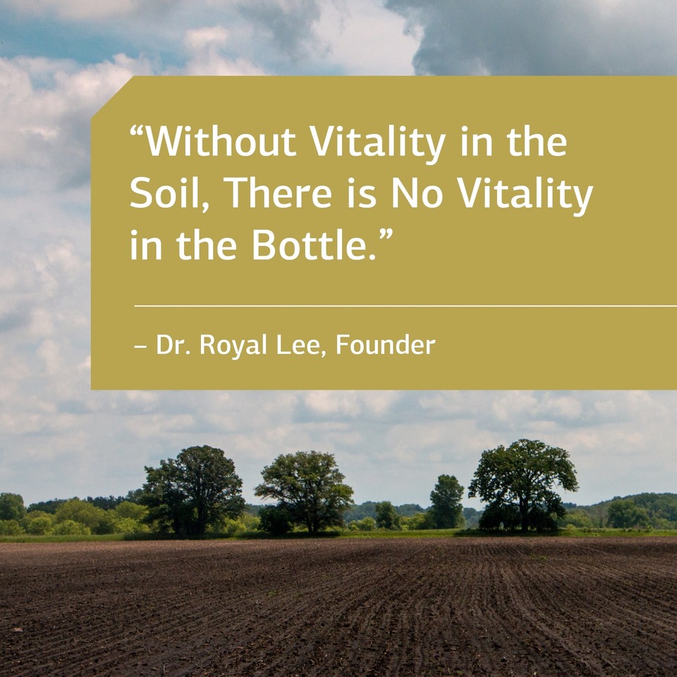 Standard Process Arginex Whole Food Formula, 90 Tablets 812122010146 | eBay