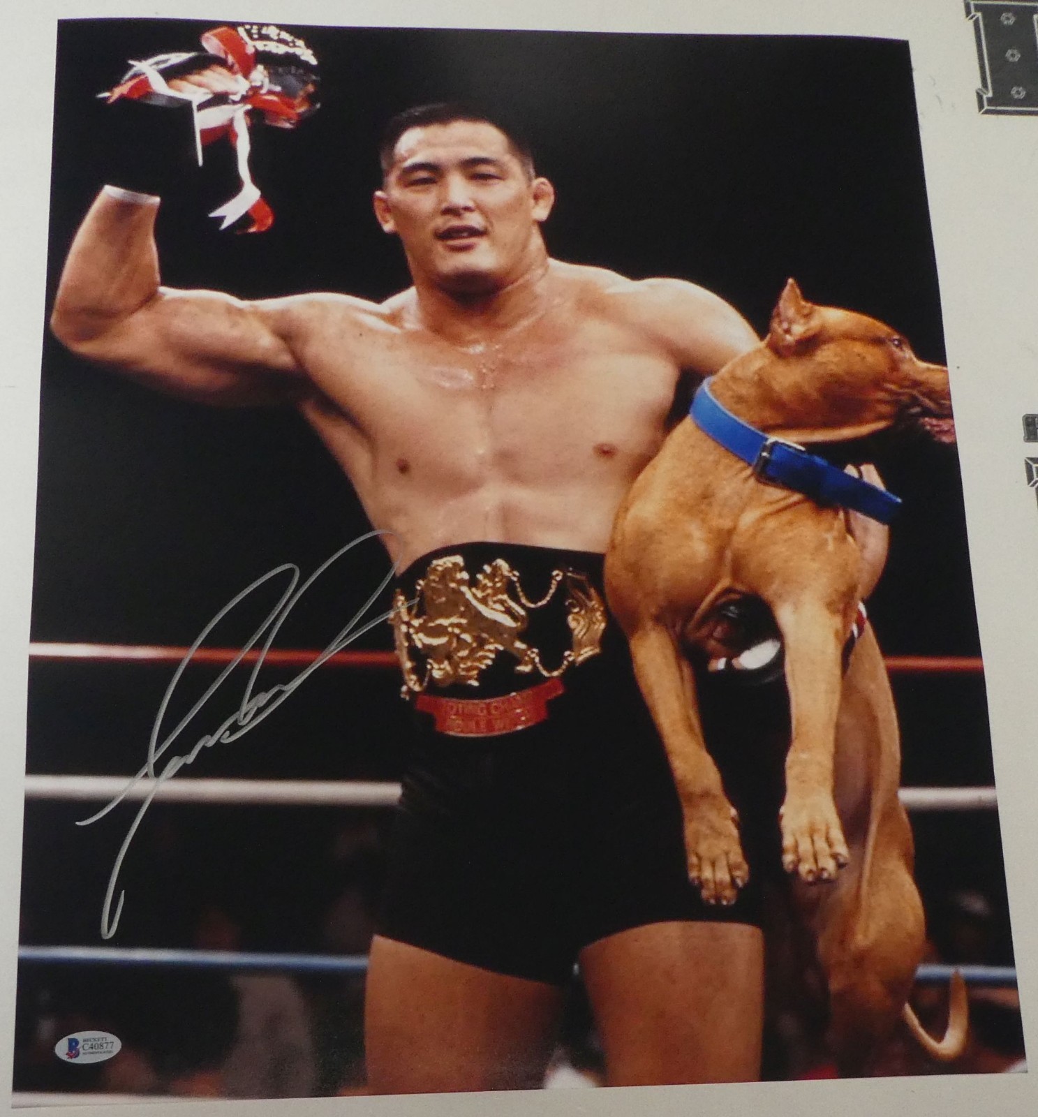 Enson Inoue Signed 16x20 Photo BAS COA UFC Pride FC Vale Tudo Japan ...