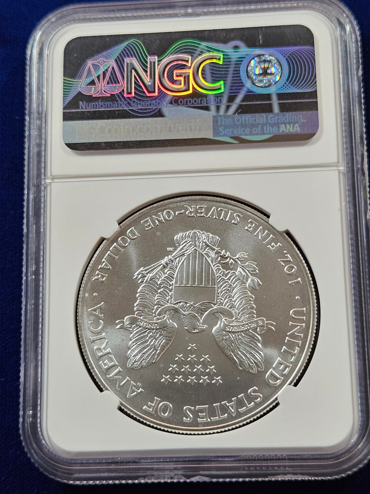 🌟 2001 American .999 Silver Eagle Obverse Struck Thru Error NGC MS69 ...